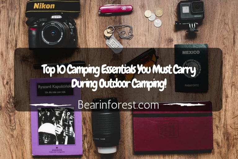Top 10 Camping Essentials You Must Carry During Outdoor Camping