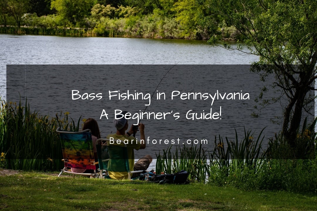 Bass Fishing in Pennsylvania: A Beginner’s Guide!