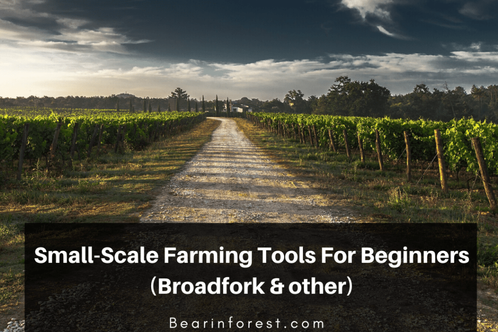 Small-Scale Farming Tools For Beginners (Broadfork & other) - Bearinforest