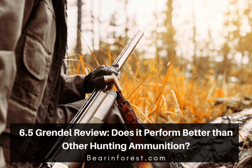 6.5 Grendel Review: Does it Perform Better than Other Hunting ...