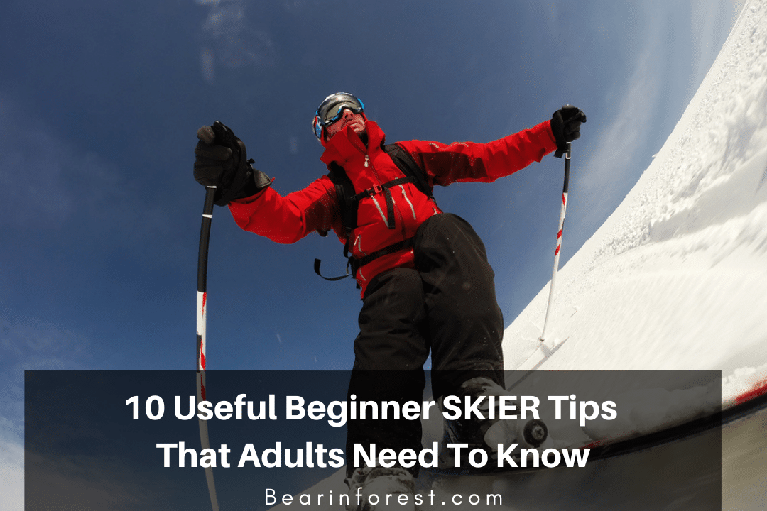 10 Useful Beginner SKIER Tips That Adults Need To Know - Bearinforest 10 Useful Beginner SKIER Tips That Adults Need To Know - Bearinforest